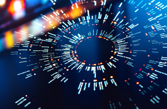 What is FE fundinfo's Fund Information Hub?